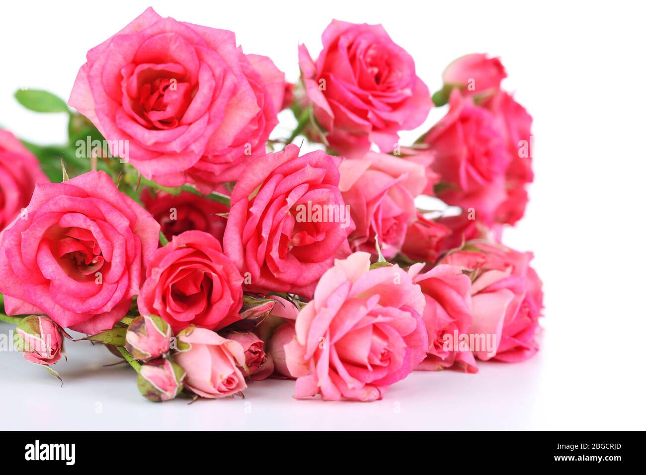 Beautiful small pink roses, isolated on white Stock Photo - Alamy