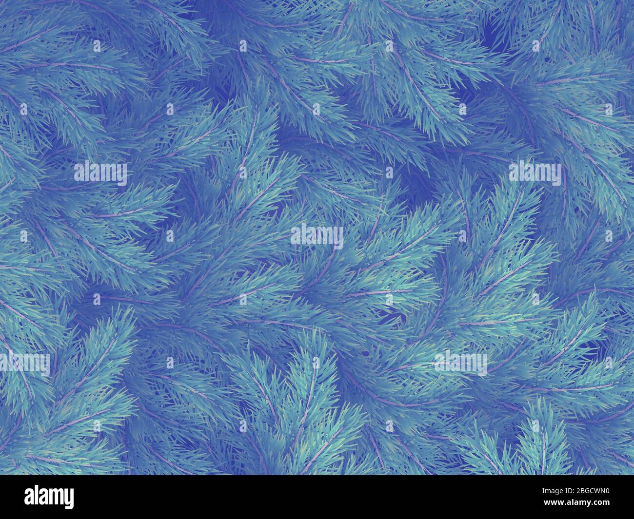 Closeup blue spruce tree branches Stock Vector Images - Alamy