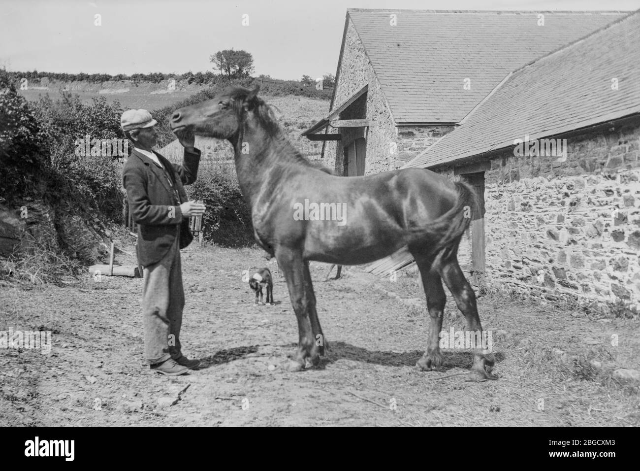 A farmer standing with his horse near stone farm buildings, circa 1892 ...