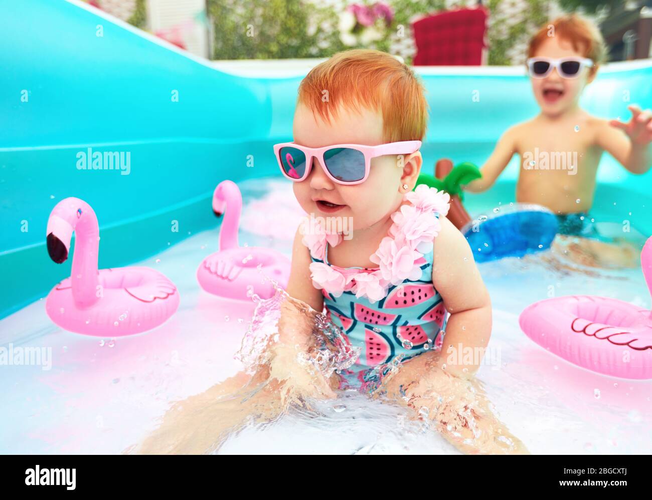 Baby flamingo cute hi-res stock photography and images - Alamy