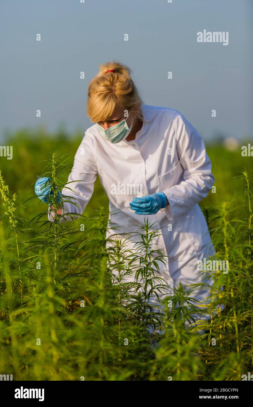 Scientist tweezers taking samples hi-res stock photography and images ...