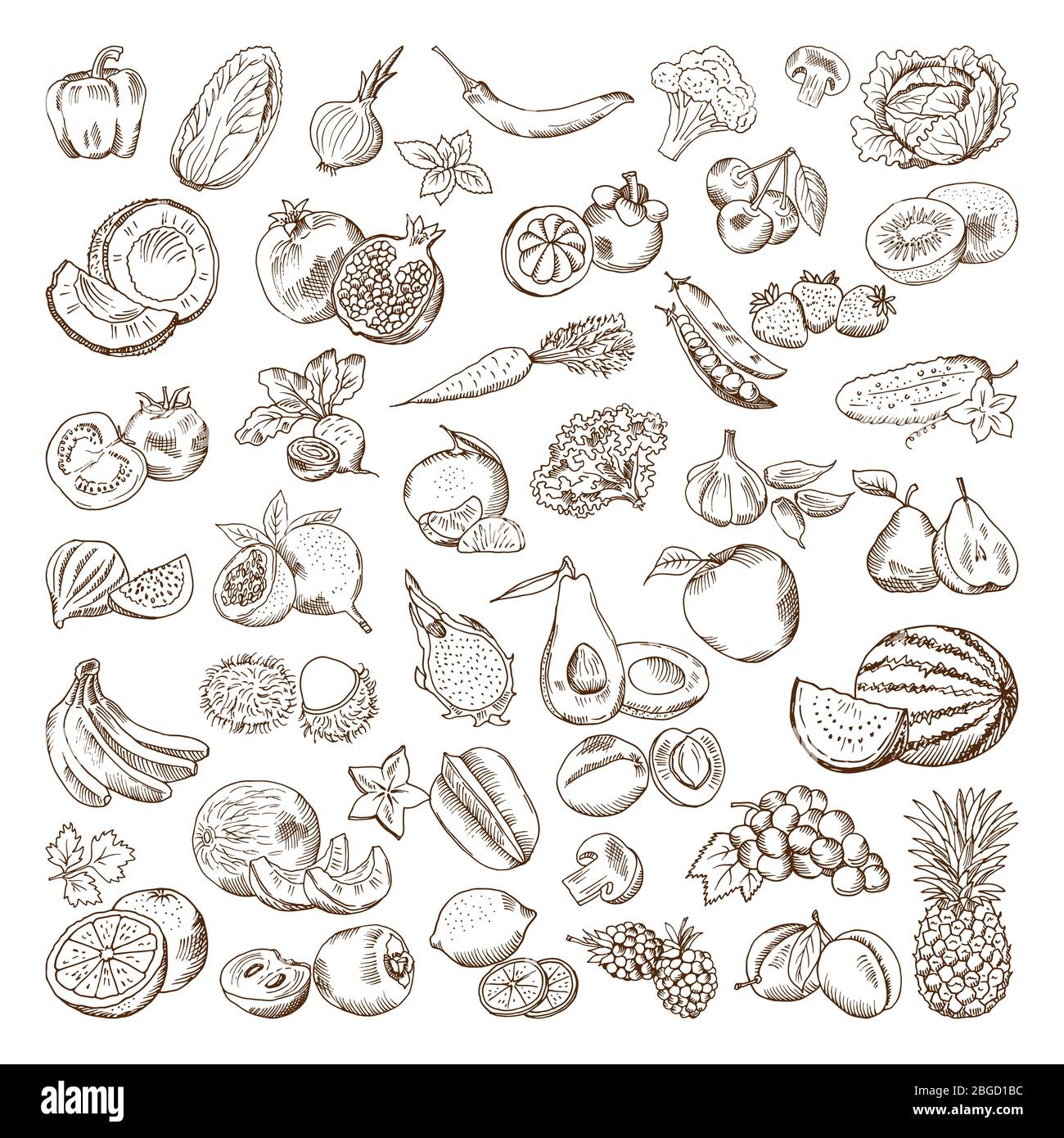Vector hand drawn pictures of fruits and vegetables. Doodle vegan food ...
