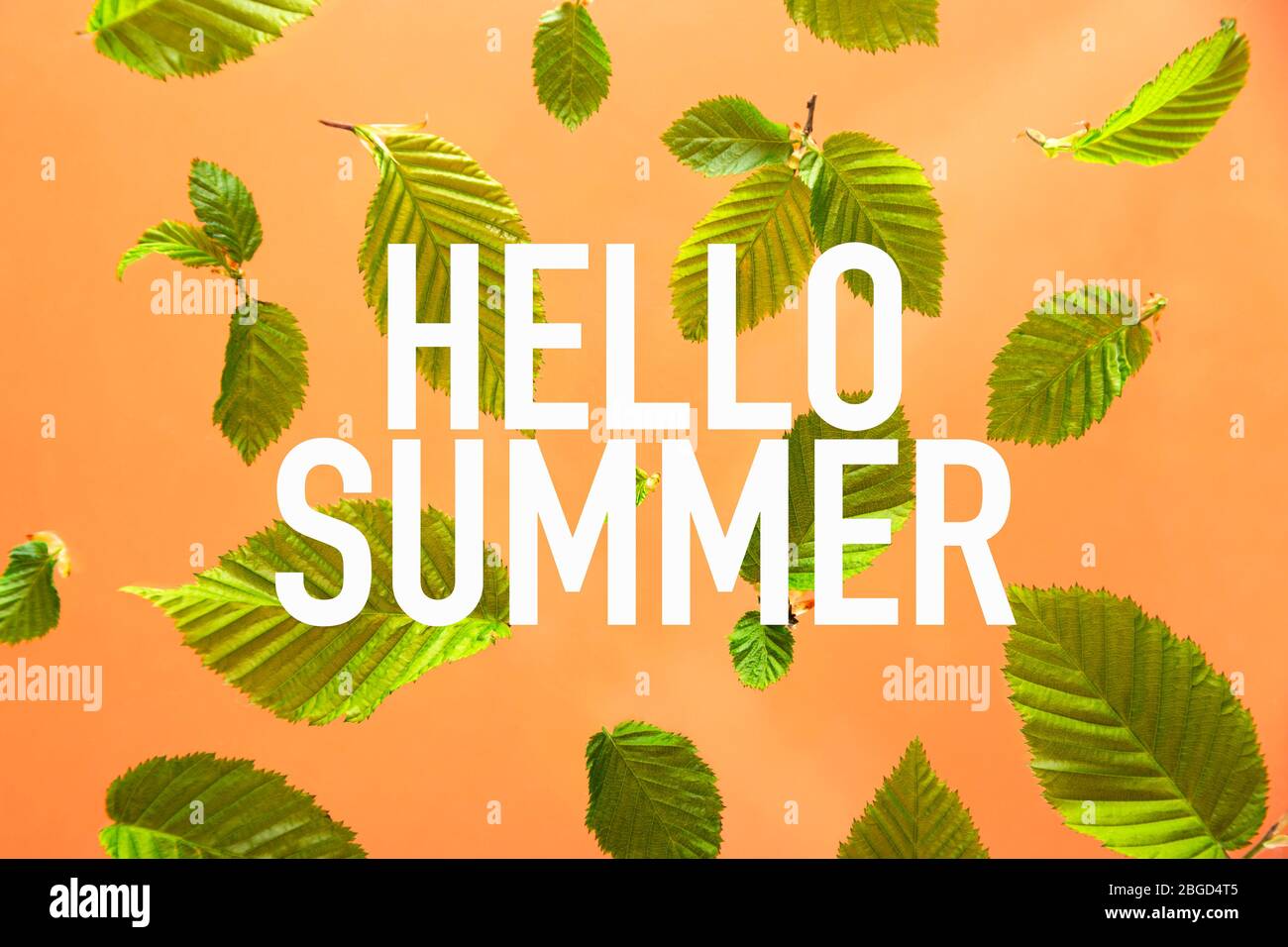 Hello summer written on peach background with leaves Stock Photo - Alamy