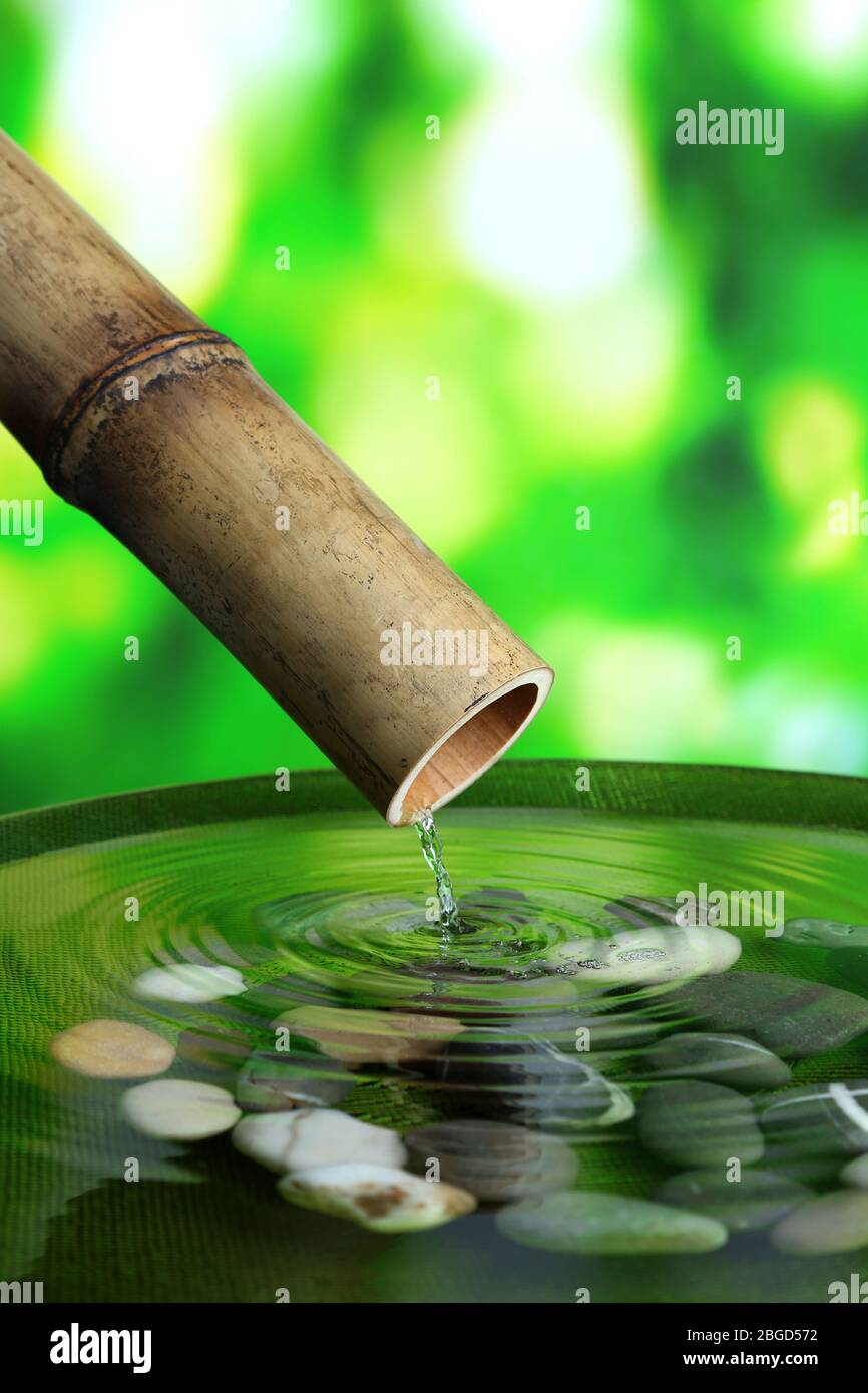Spa still life with bamboo fountain, on bright background Stock Photo ...