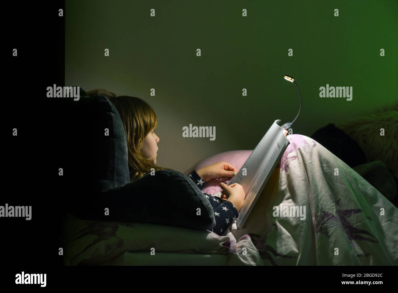 Reading book at night with a torch hi-res stock photography and images ...