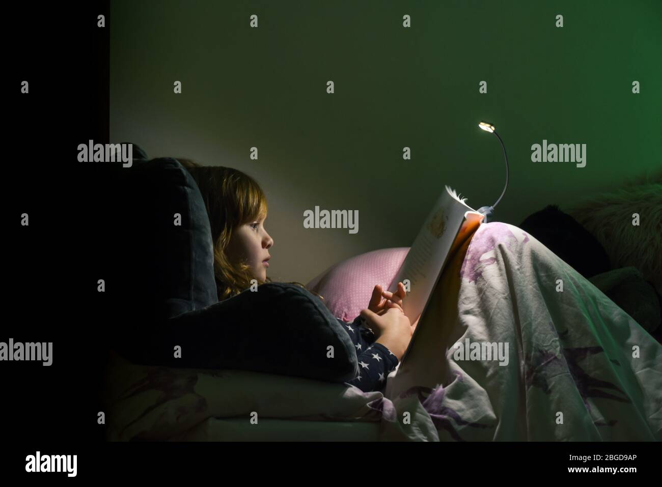 Reading book at night with a torch hi-res stock photography and images ...