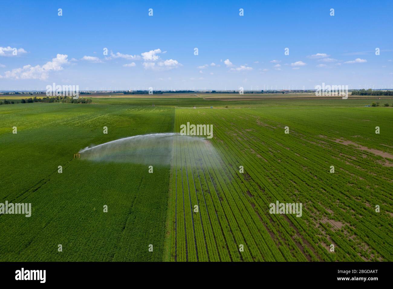 Agricultural sprinkler field plantation aerial hi-res stock photography ...