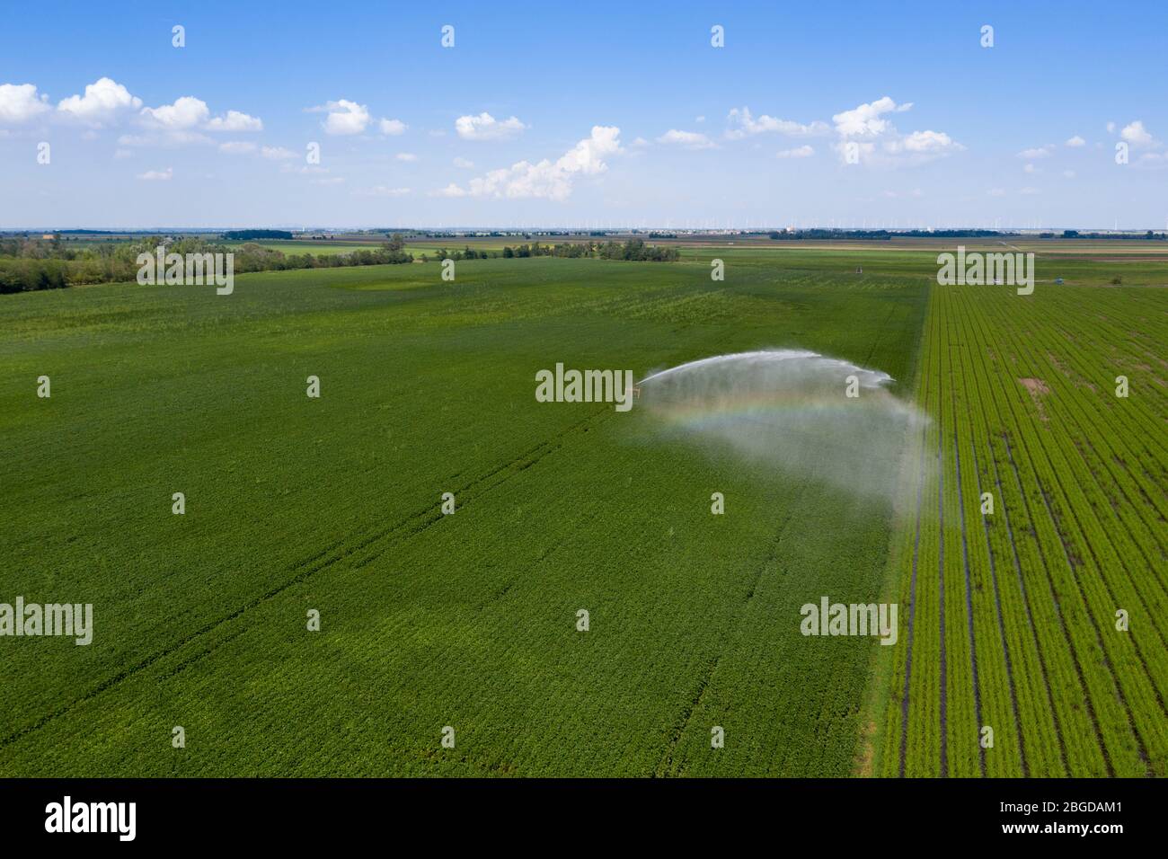Irrigating crop fields water sprinkler hi-res stock photography and ...