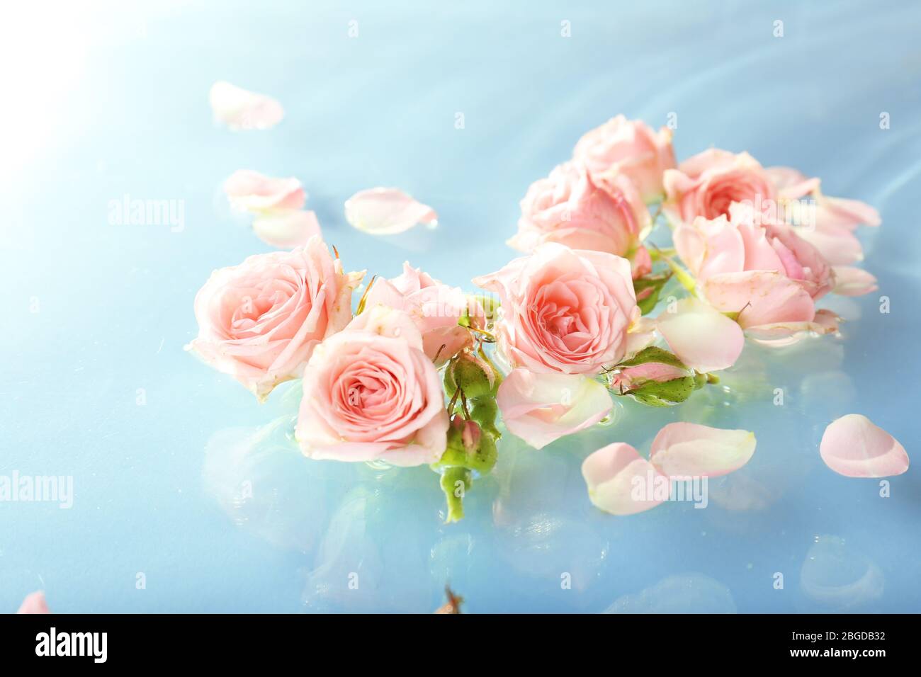 Floating pink roses close up Stock Photo - Alamy
