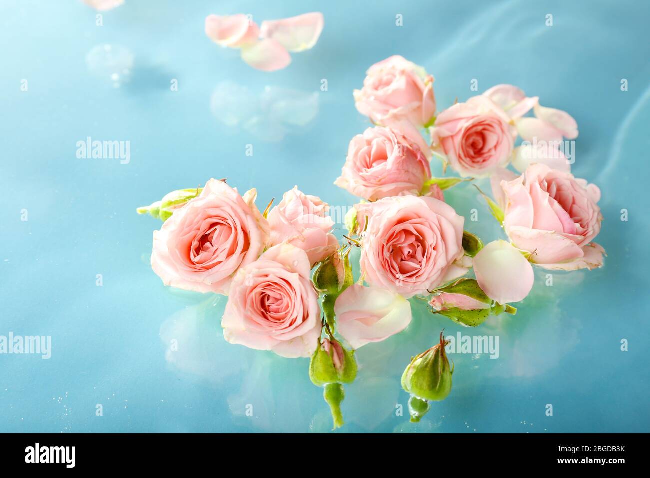 Floating pink roses close up Stock Photo - Alamy