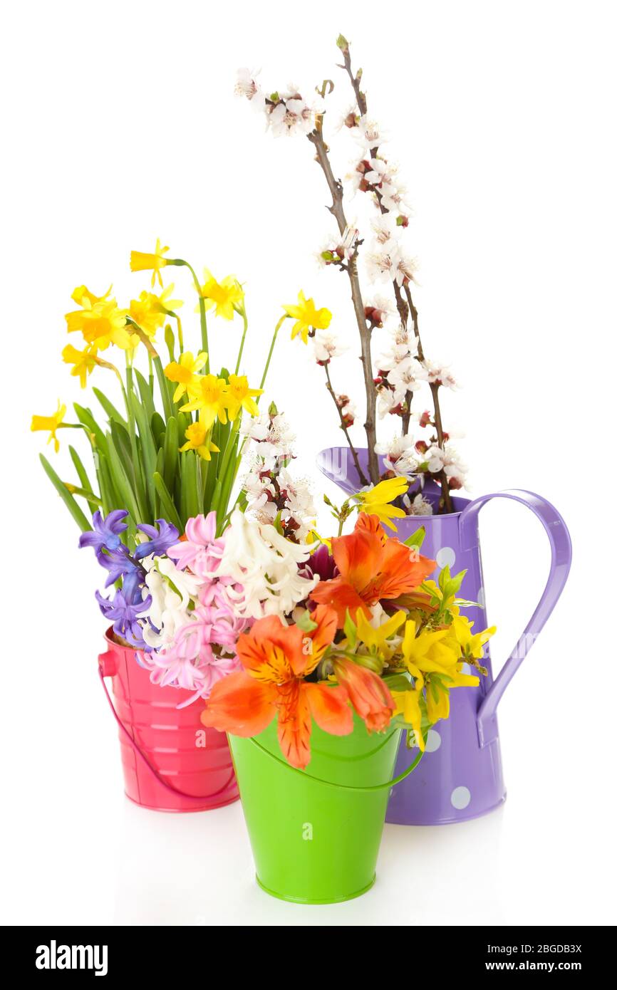 Beautiful flowers in metal buckets isolated on white Stock Photo - Alamy