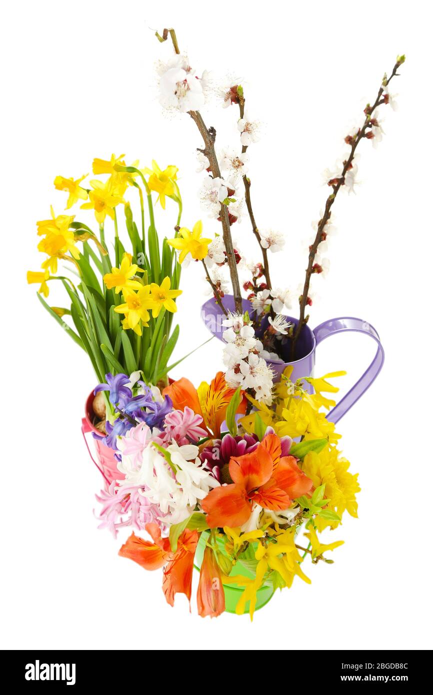 Beautiful flowers in metal buckets isolated on white Stock Photo - Alamy