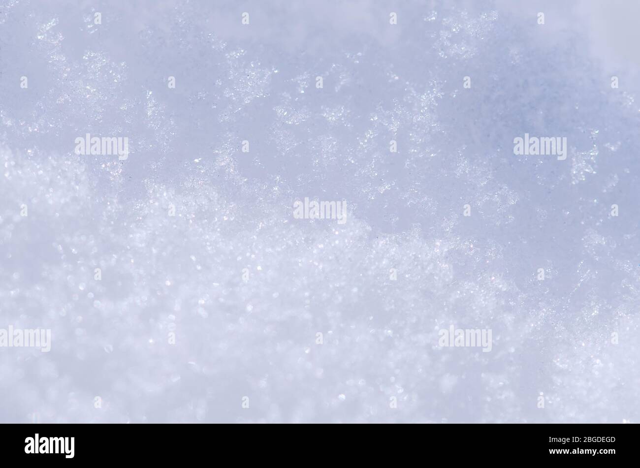 Snow white texture. Background of fresh snow Stock Photo - Alamy