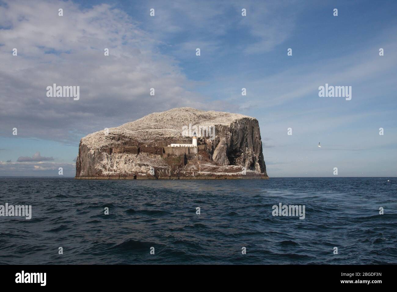 BASS ROCK, Scotland Stock Photo - Alamy
