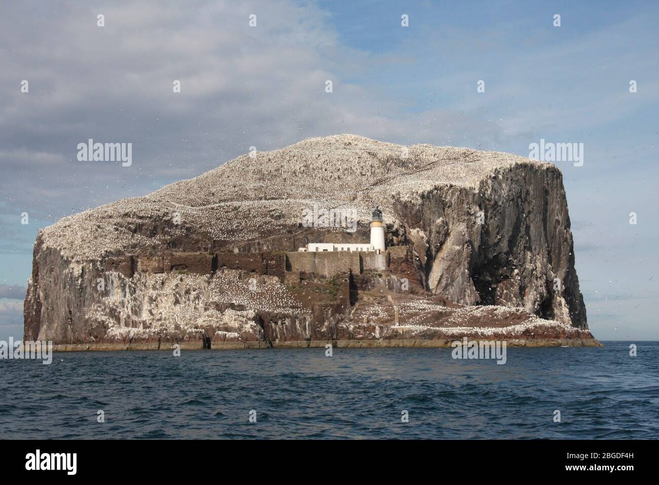 Bass rock scotland hi-res stock photography and images - Alamy