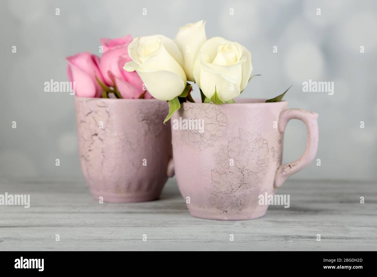Beautiful roses in cups hi-res stock photography and images - Alamy