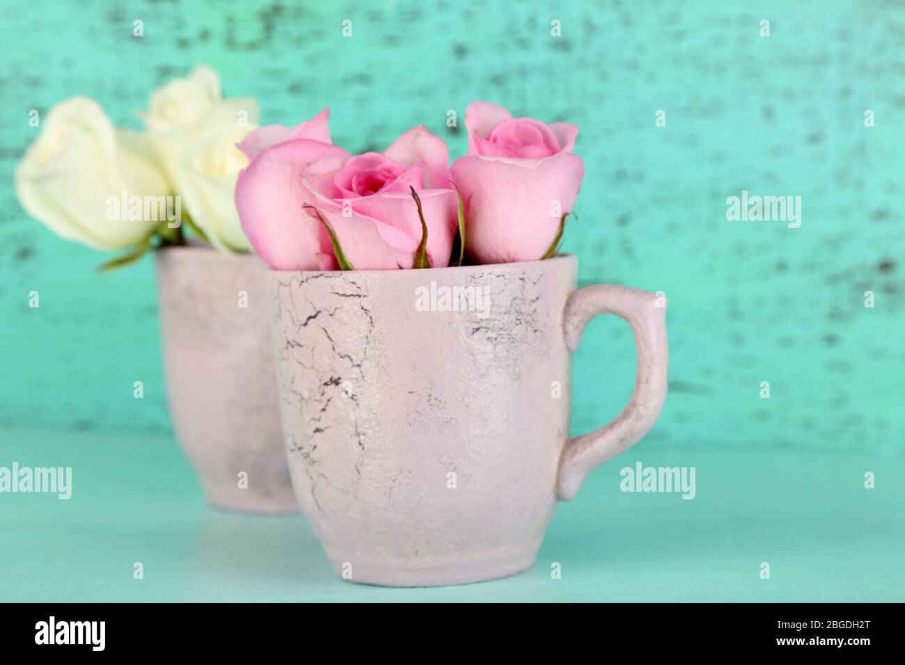 Beautiful roses in cups hi-res stock photography and images - Alamy