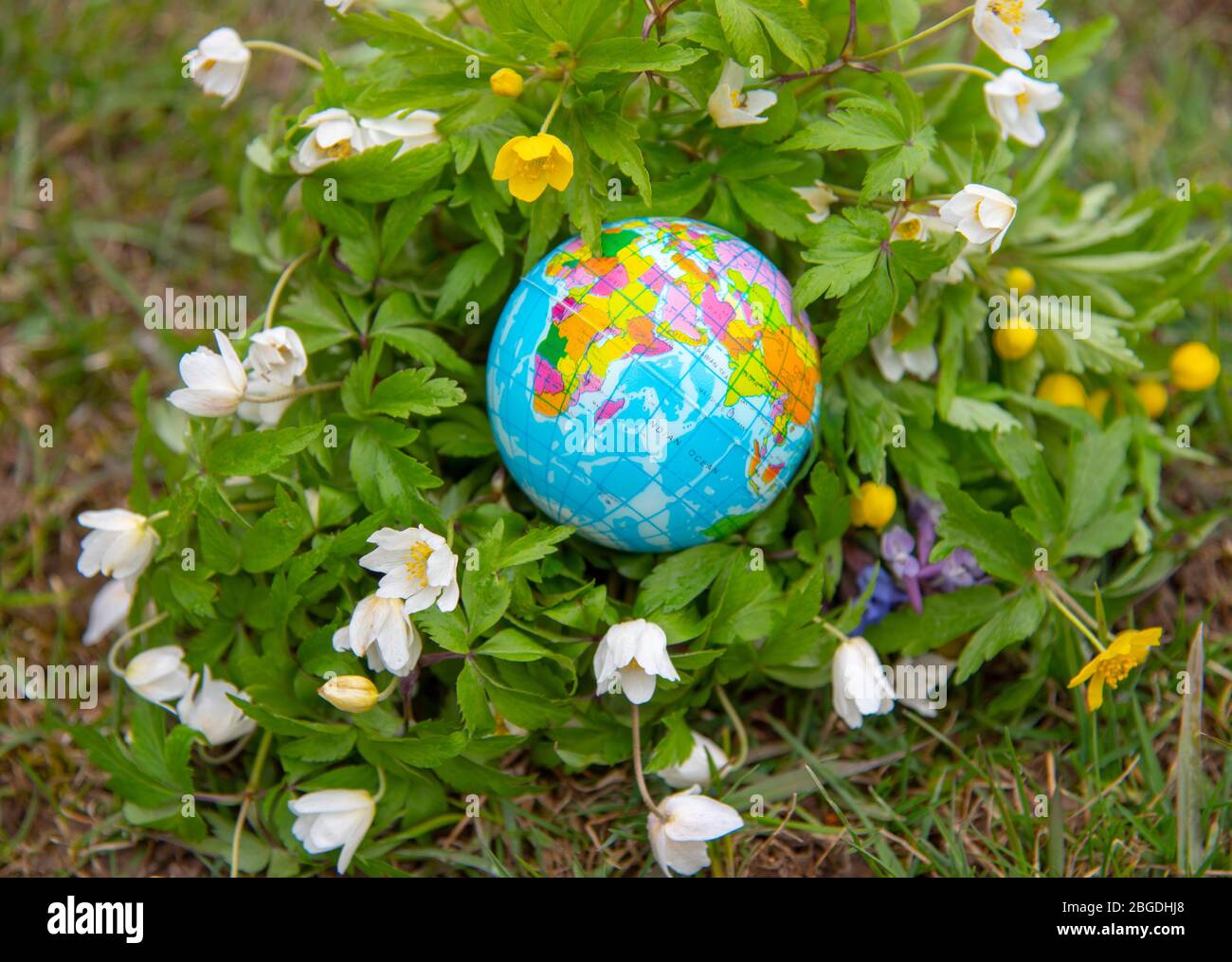 Globe in bright spring forest flowers. The picture, symbolizing the ...