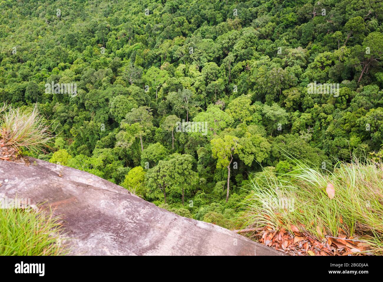 rough and rock mountain pick and forest underneath Stock Photo - Alamy