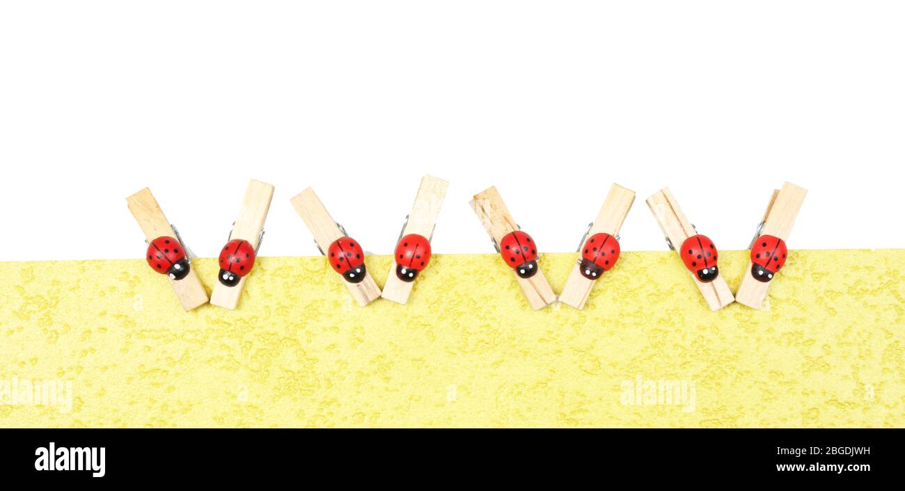 Colorful wooden pins with paper, isolated on white Stock Photo - Alamy