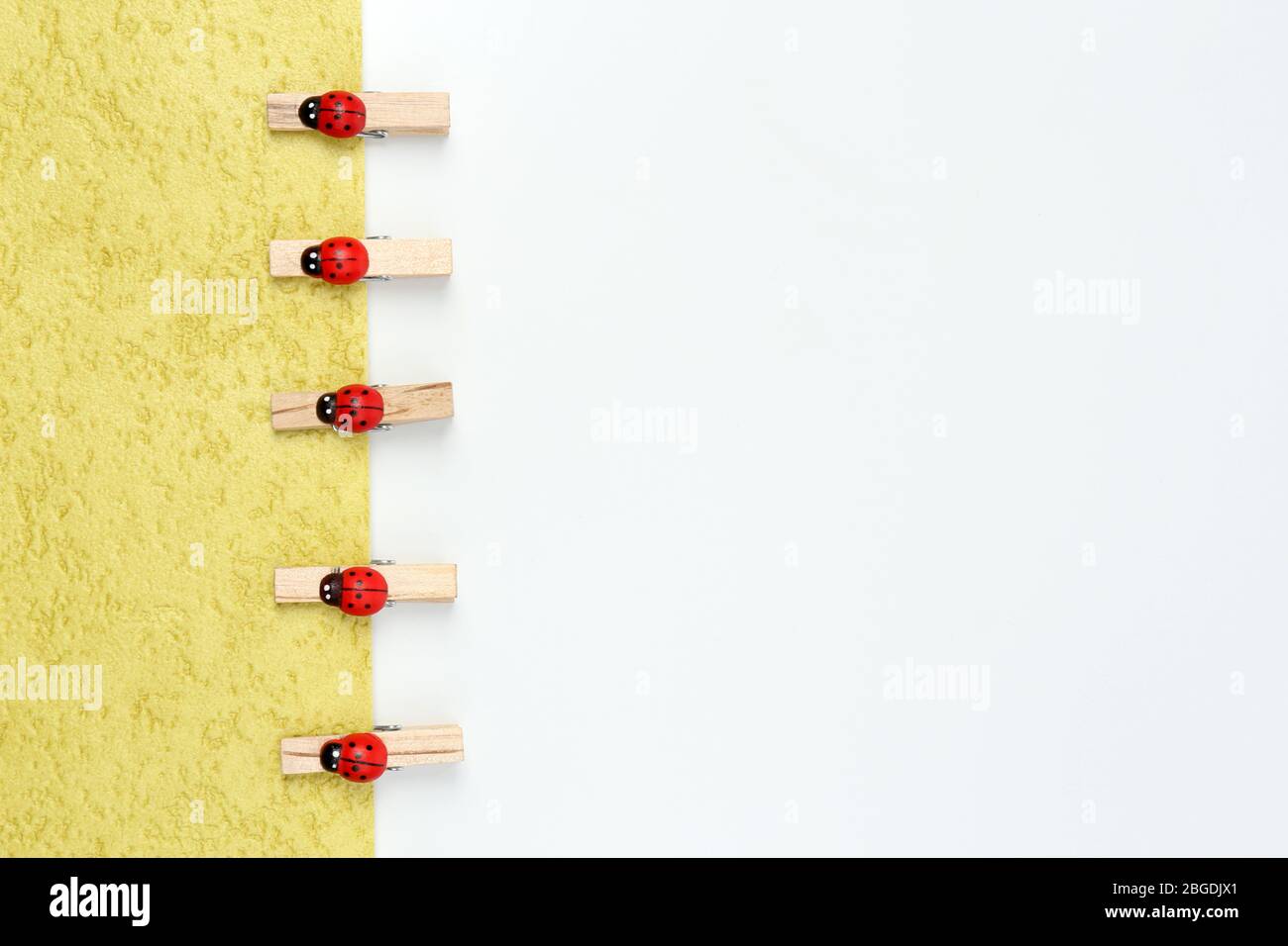 Colorful wooden pins with paper, isolated on white Stock Photo - Alamy