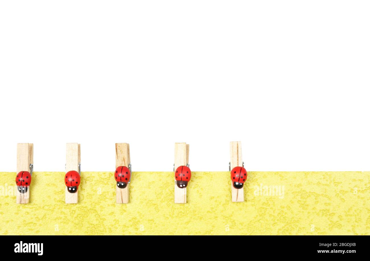 Colorful wooden pins with paper, isolated on white Stock Photo - Alamy