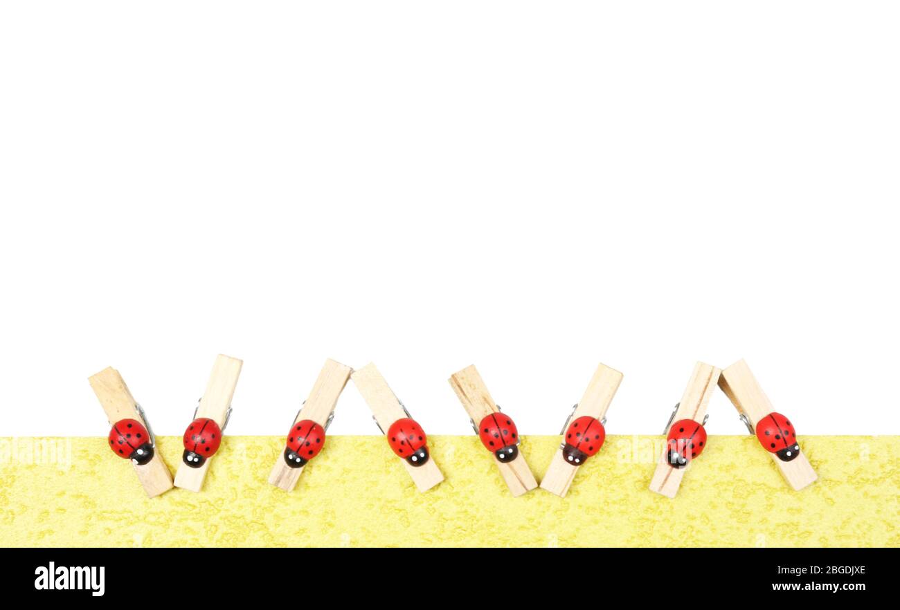 Colorful wooden pins with paper, isolated on white Stock Photo - Alamy