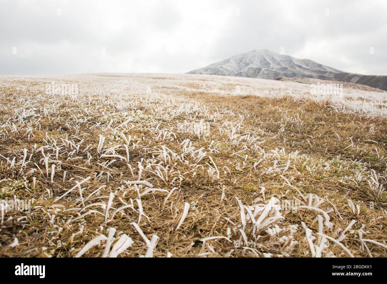 Mount Aso and Kusasenri in winter. covered by golden yellow grassland - Kumamoto, Japan Stock ...