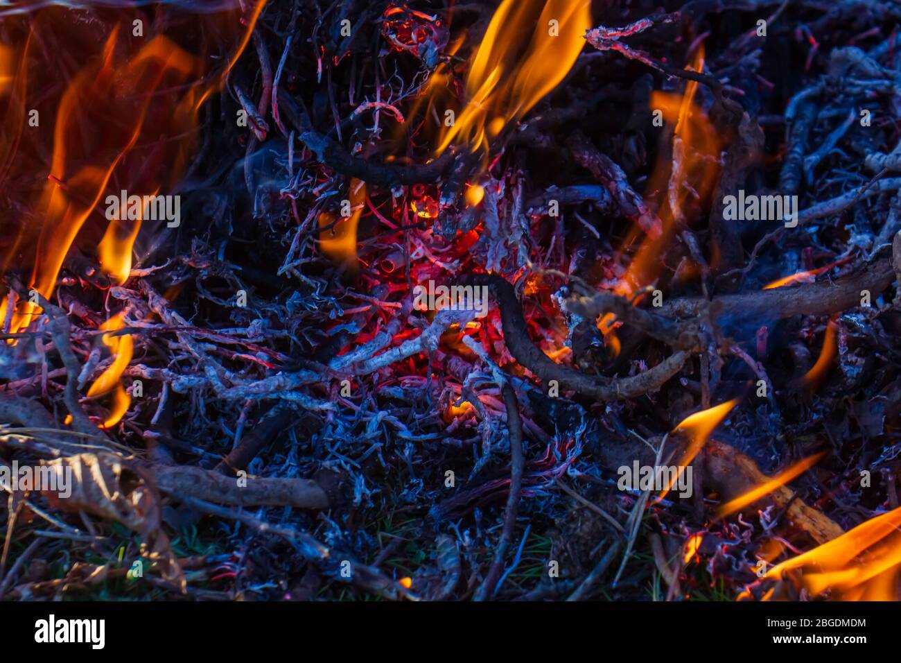fire in the forest, fire in the garden Stock Photo - Alamy
