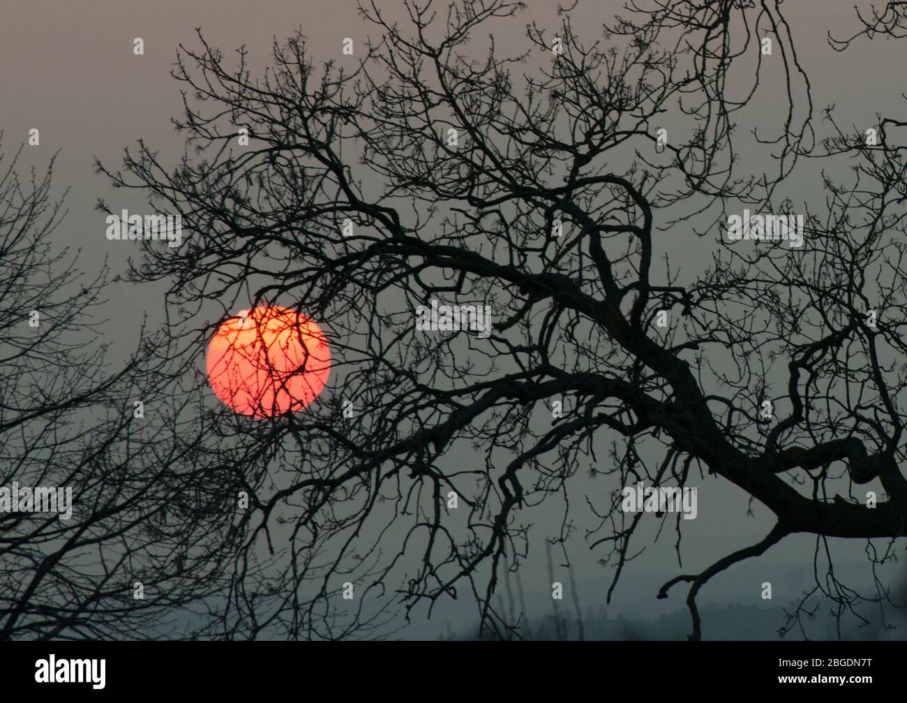 Mystery disc hi-res stock photography and images - Alamy