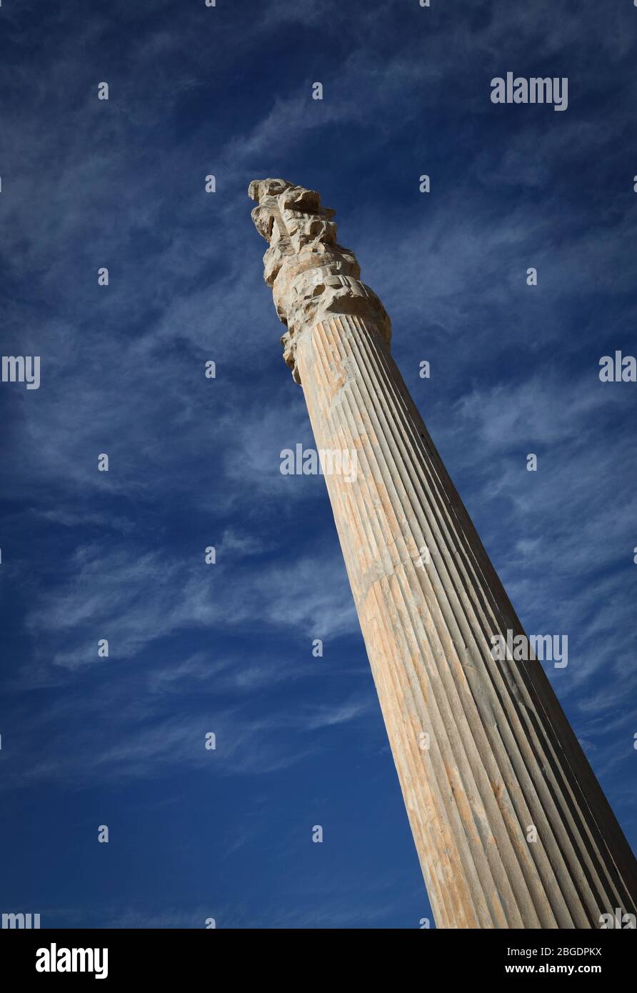 Column of Apadana Palace,Persepolis, Marvdasht, Fars Province, Iran ...