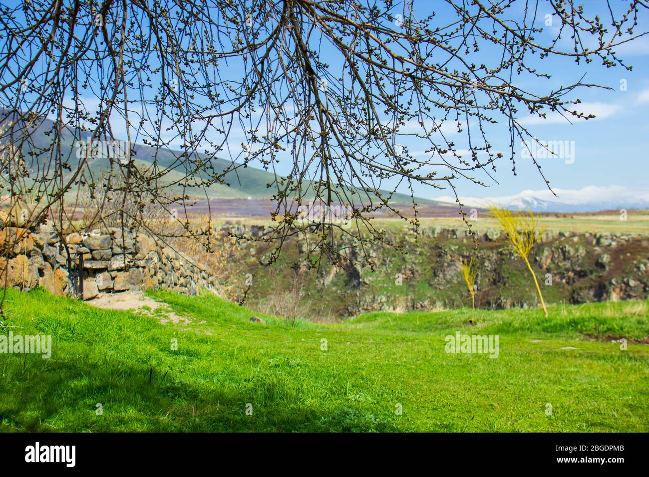 rural landscape in spring, rural landscape with a tree Stock Photo - Alamy