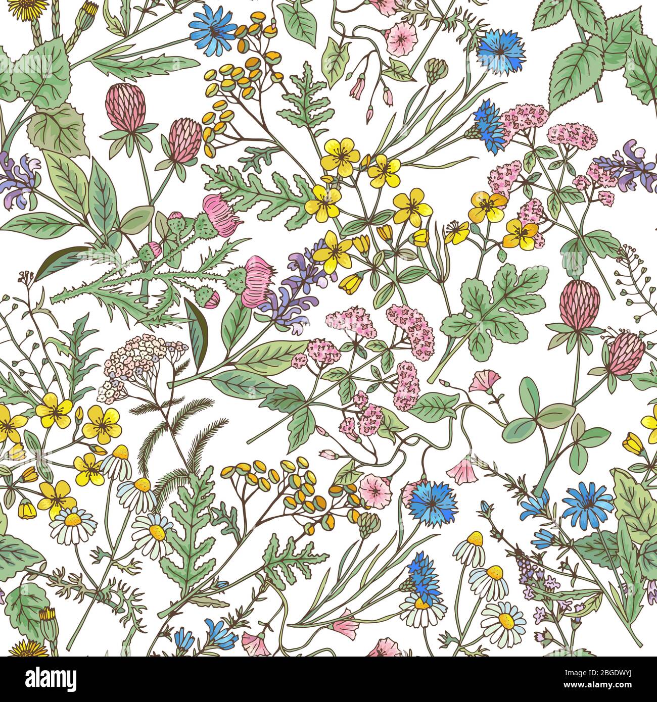 Hand drawn herbs background. Vector seamless pattern Stock Vector Image ...