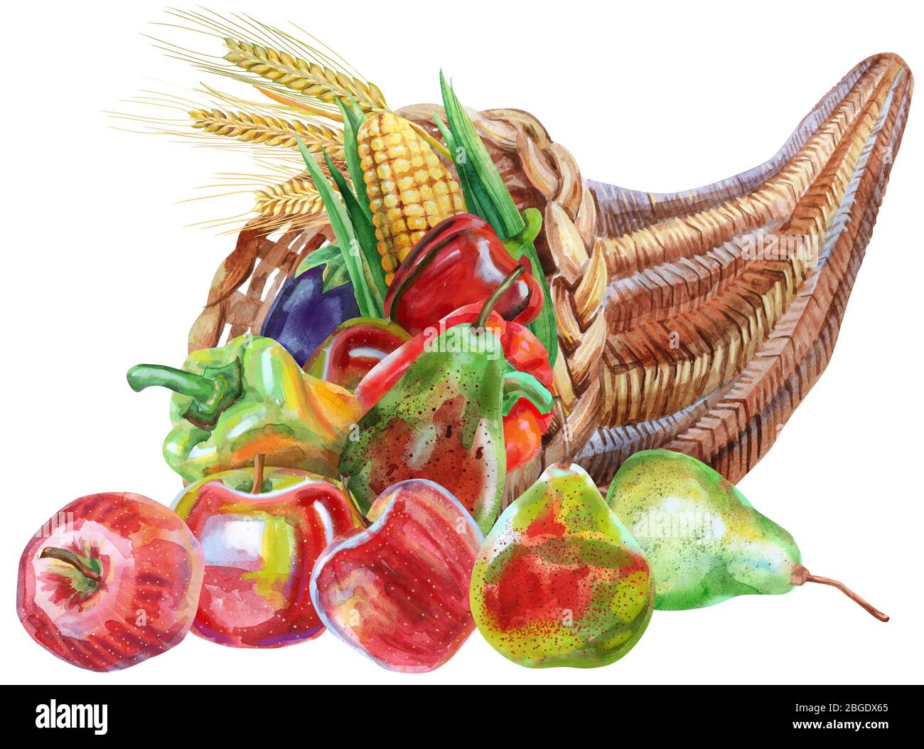 Watercolor cornucopia filled with vegetables and fruits on white ...