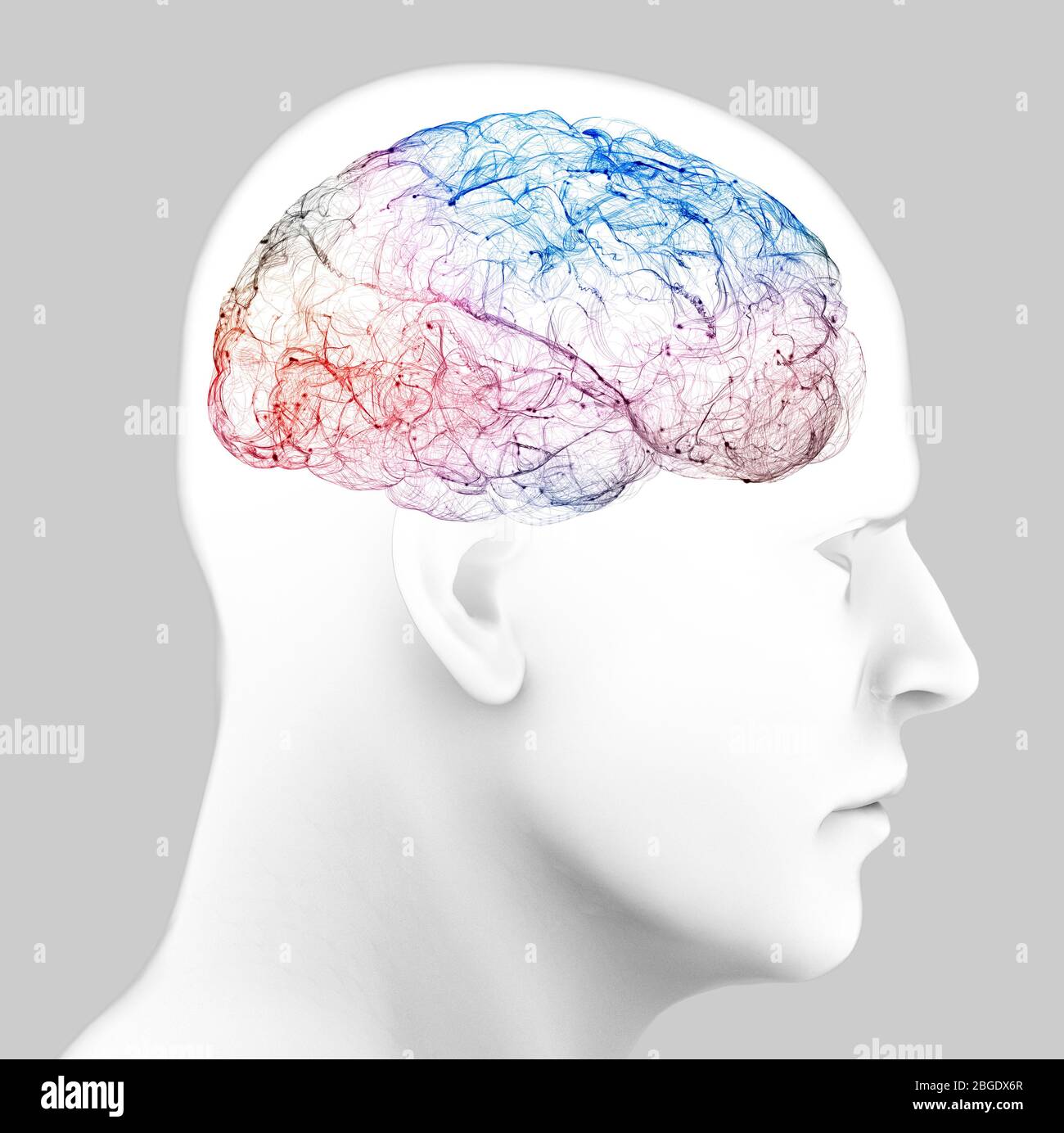 View of the synapses. Brain connections. Neurons and synapses ...