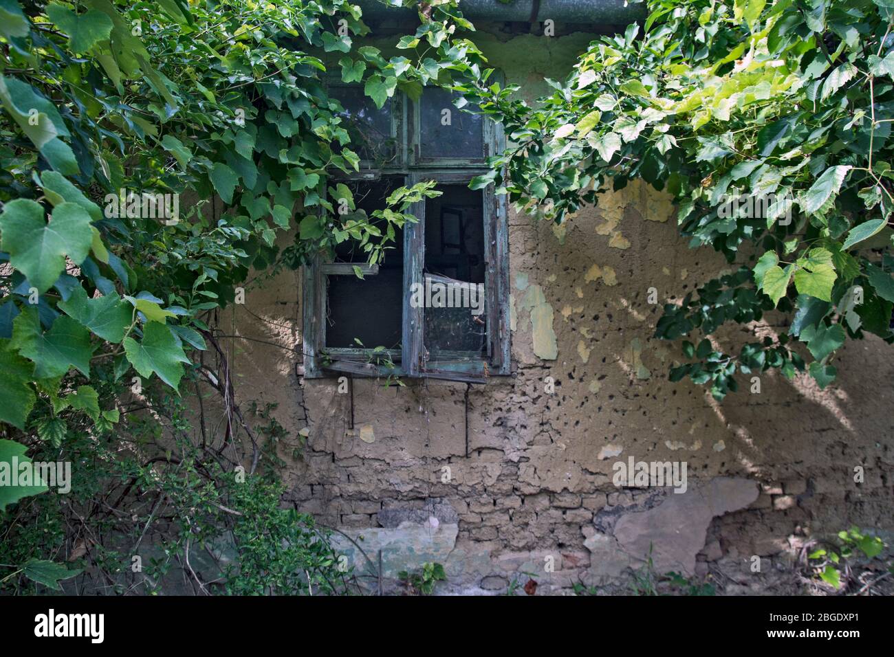 Old abandoned and ornate farm in Vojvodina Stock Photo - Alamy