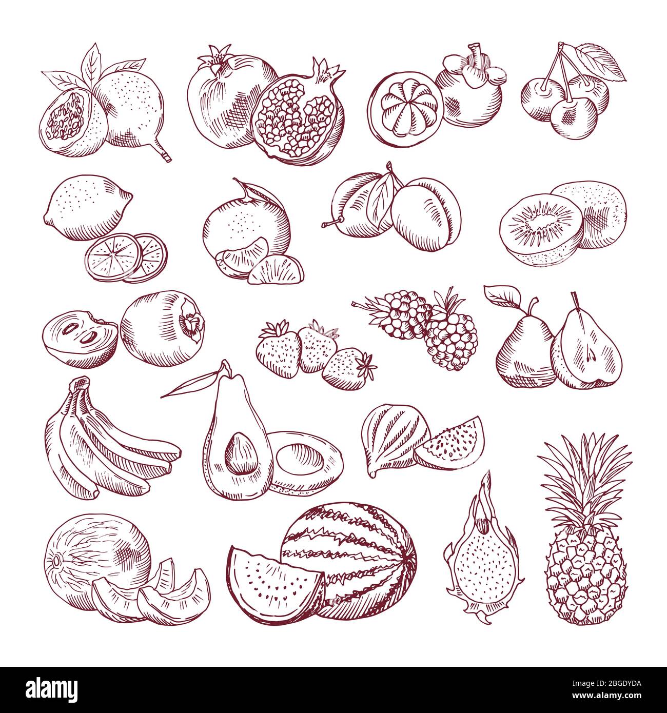 Vector sketch fruits for package design. Doodle illustrations set Stock ...