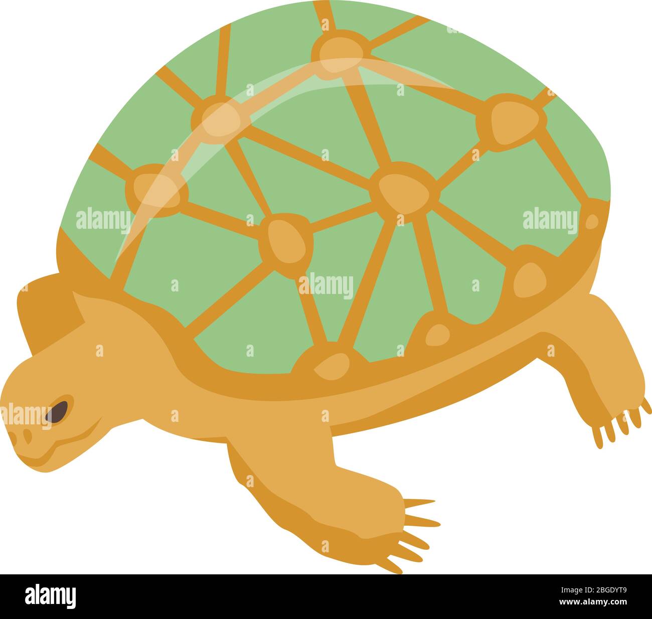 Old turtle icon, isometric style Stock Vector Image & Art - Alamy