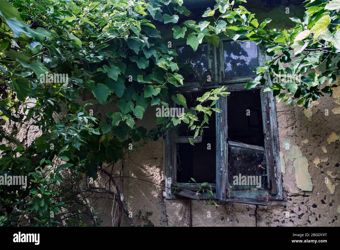 Old abandoned and ornate farm in Vojvodina Stock Photo - Alamy