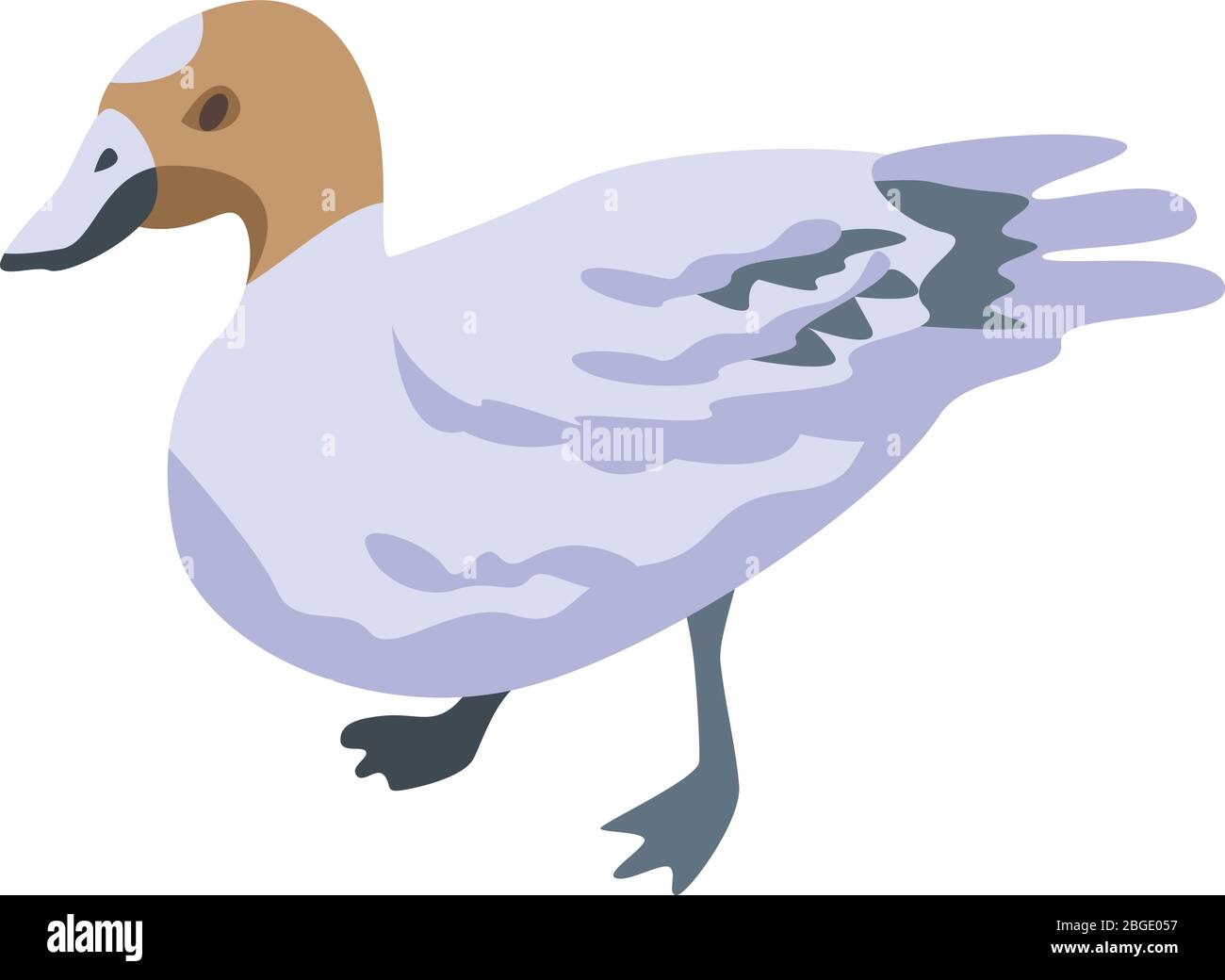 Cute duck icon, isometric style Stock Vector Image & Art - Alamy
