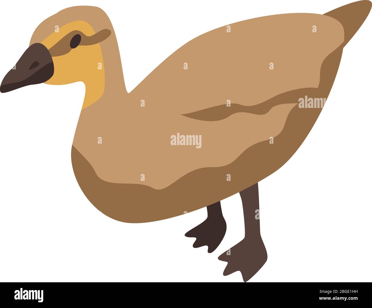 Animal duck icon, isometric style Stock Vector Image & Art - Alamy