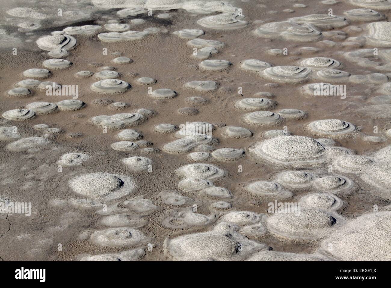 strange terrain structure near the sea Stock Photo - Alamy