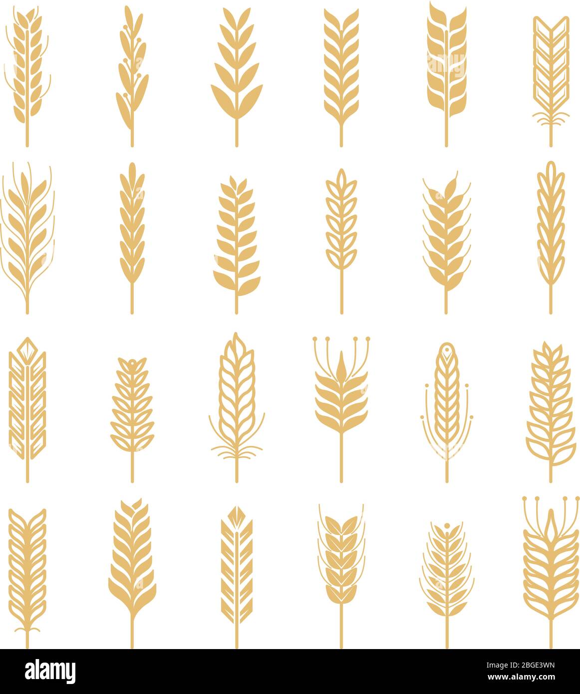 Pictures of wheat Stock Vector Images - Alamy