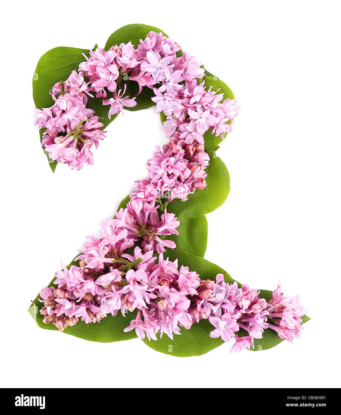 Number two of petals and flowers isolated on white Stock Photo - Alamy