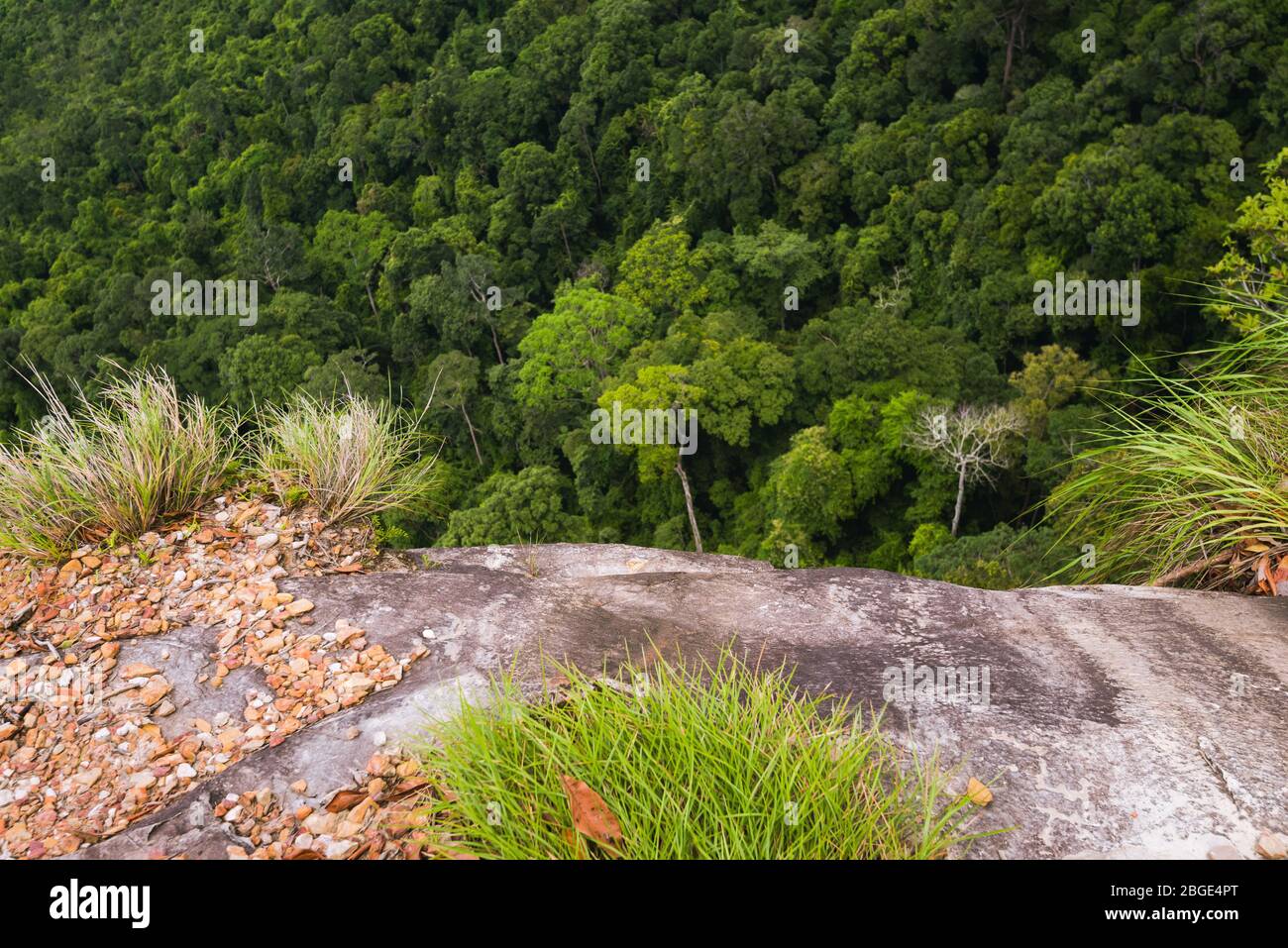 rough and rock mountain pick and forest underneath Stock Photo - Alamy