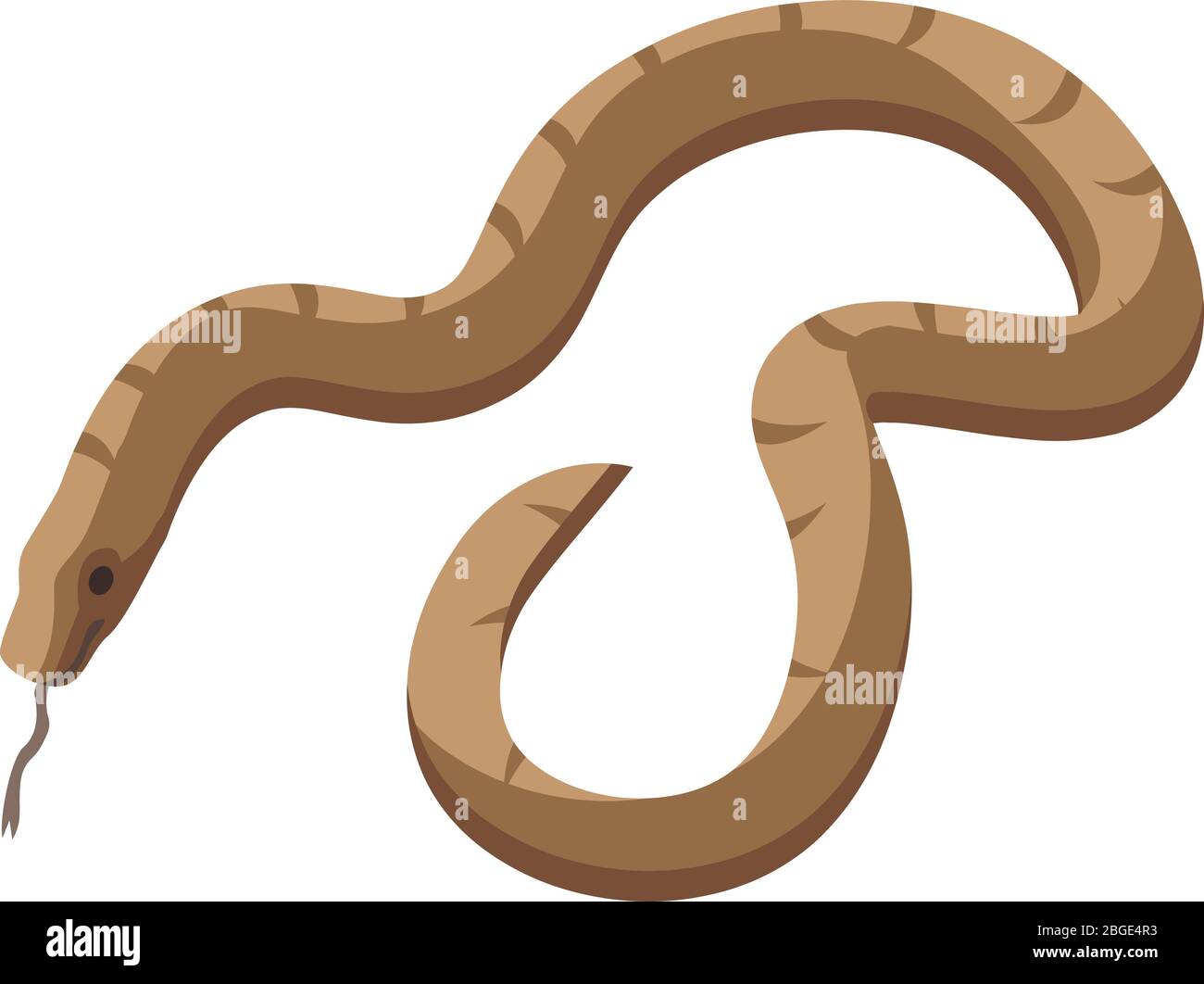 Forest snake icon, isometric style Stock Vector Image & Art - Alamy