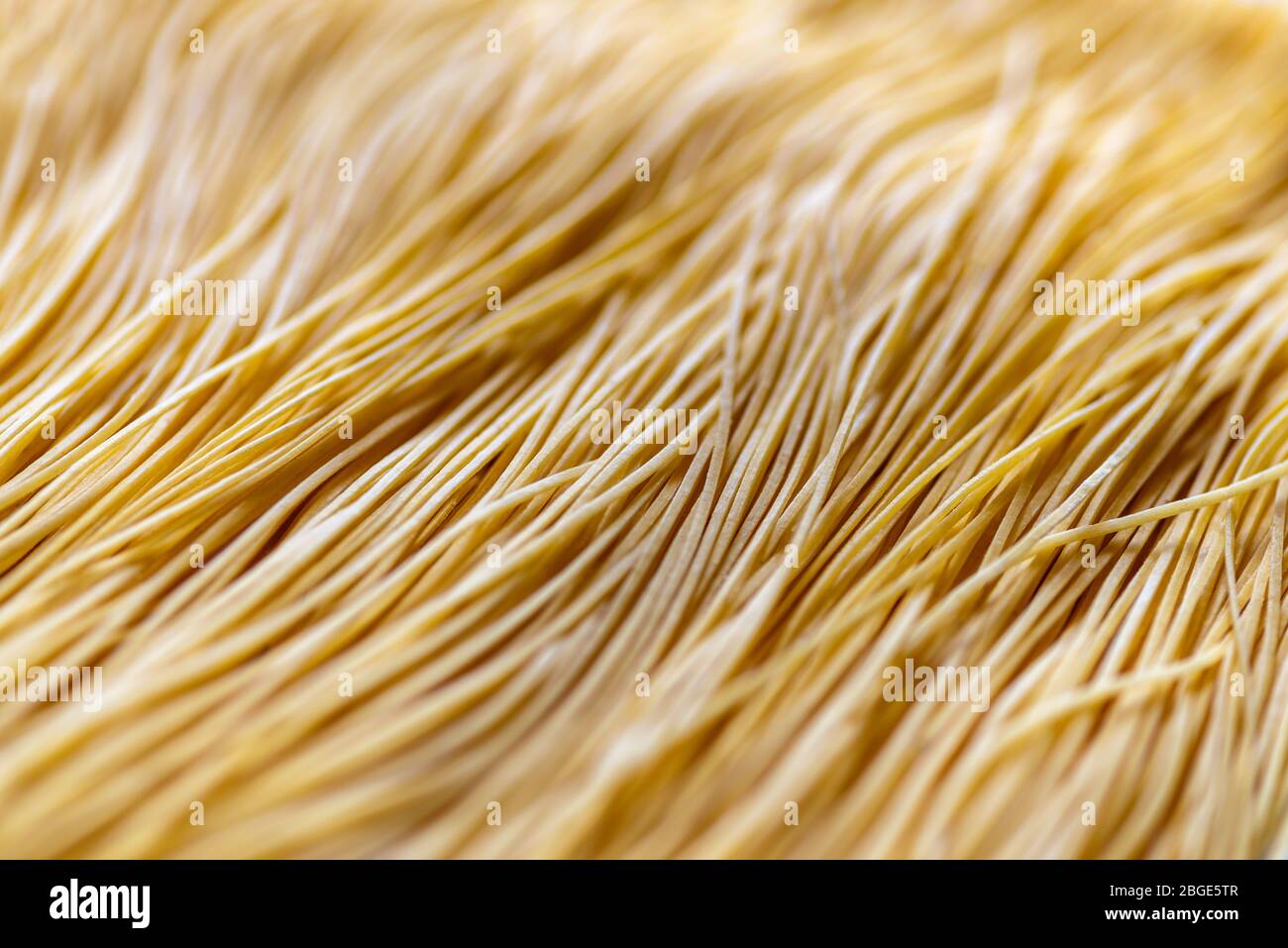 Italian uncooked dry pasta Maccheroncini di Campofilone Stock Photo - Alamy