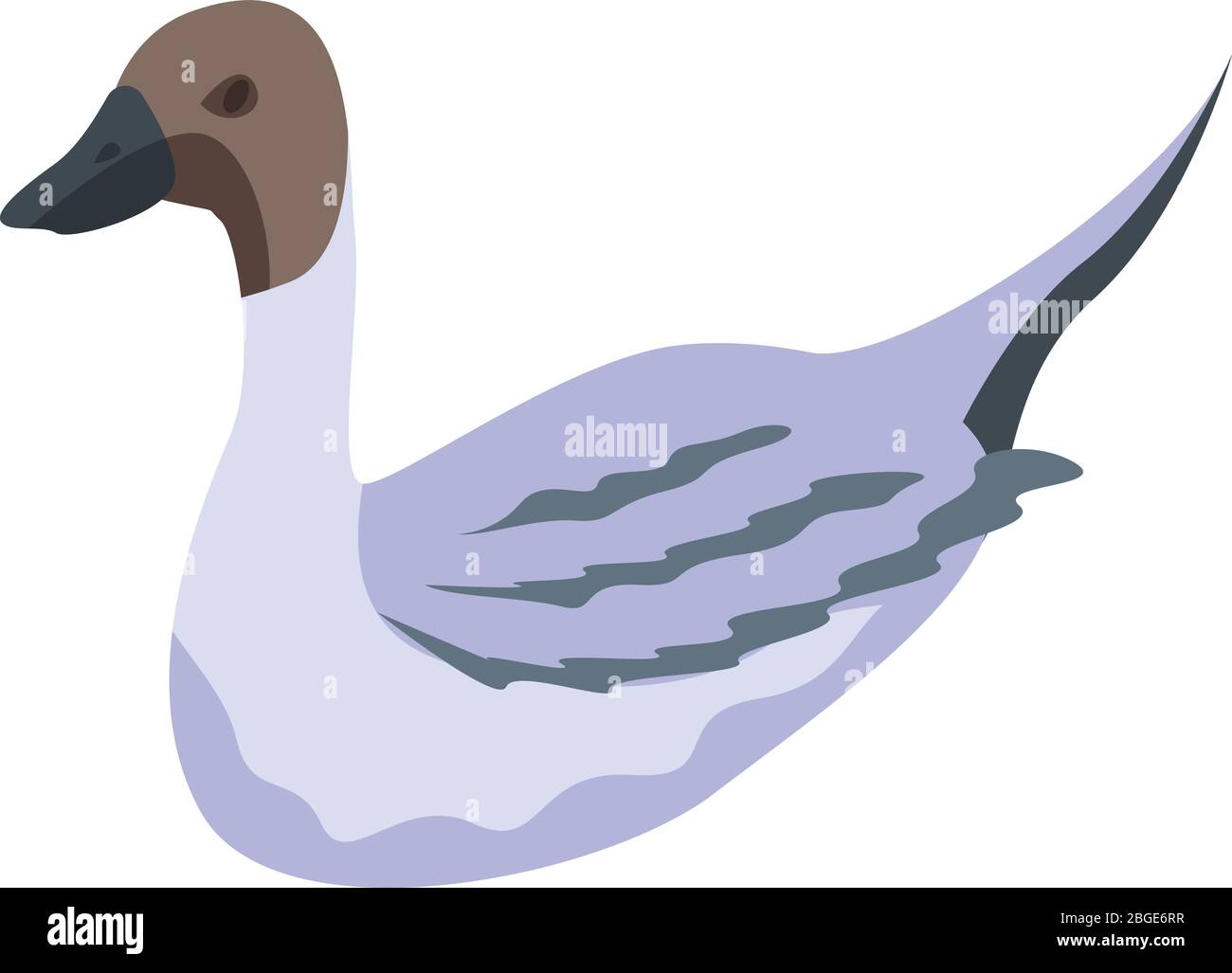 Swimming duck icon, isometric style Stock Vector Image & Art - Alamy