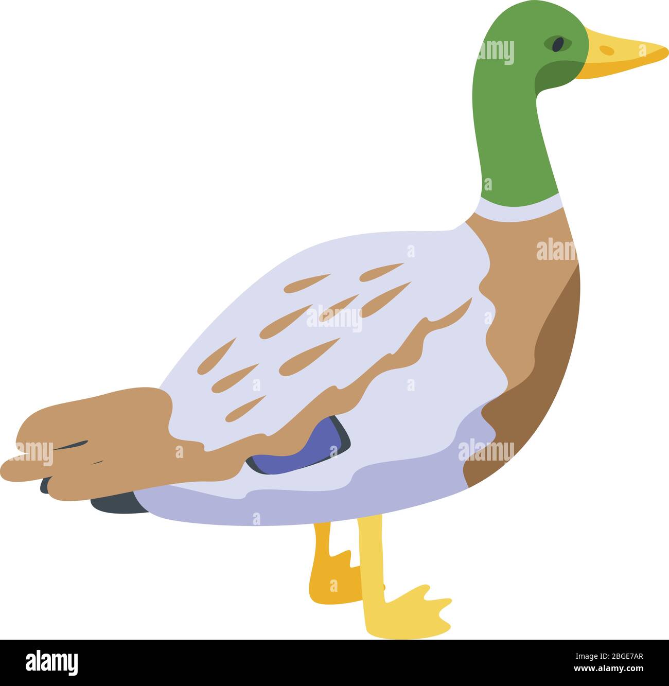 Lake wild duck icon, isometric style Stock Vector Image & Art - Alamy