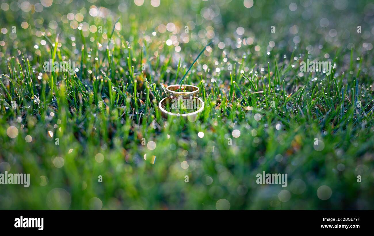 Creative tilt shift hi-res stock photography and images - Alamy